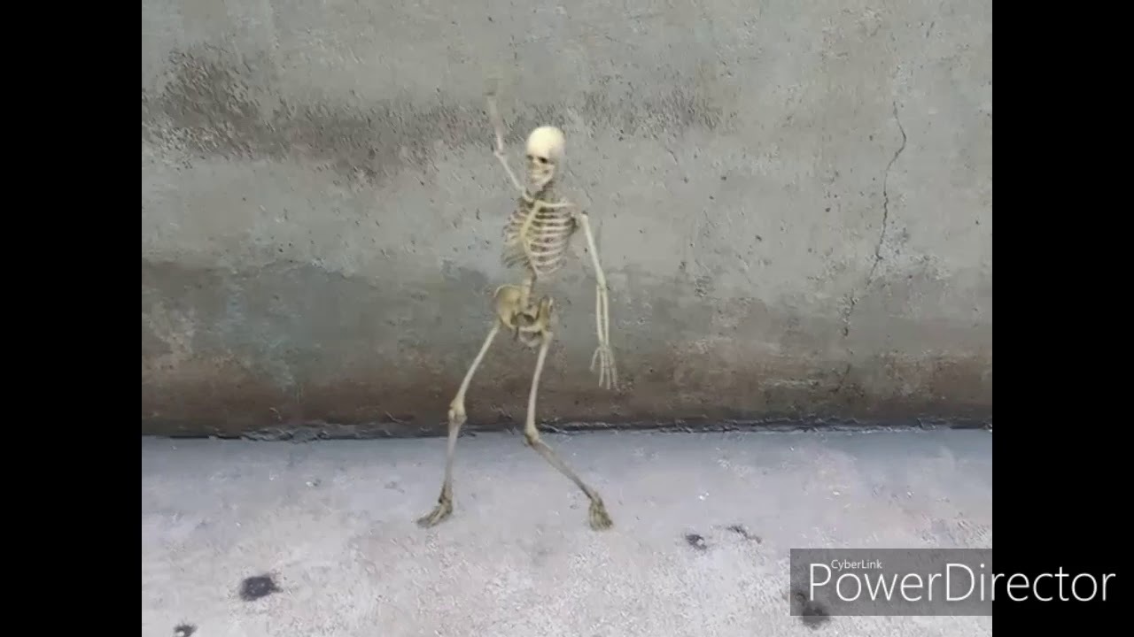 Skeleton dance - YouTube
