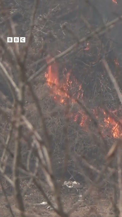 How the South Korean wildfires became their worst in history - BBC URDU - YouTube