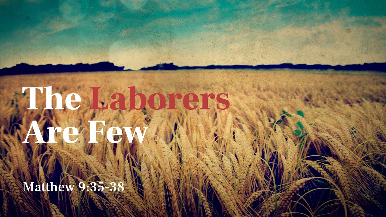 The Laborers Are Few (Matthew 9:36-38) - YouTube