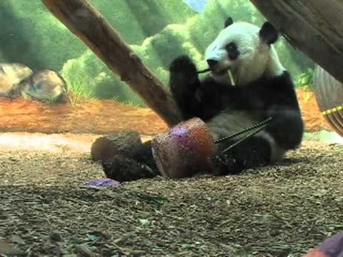 Xi Lan's Birthday - August 30, 2011 - YouTube