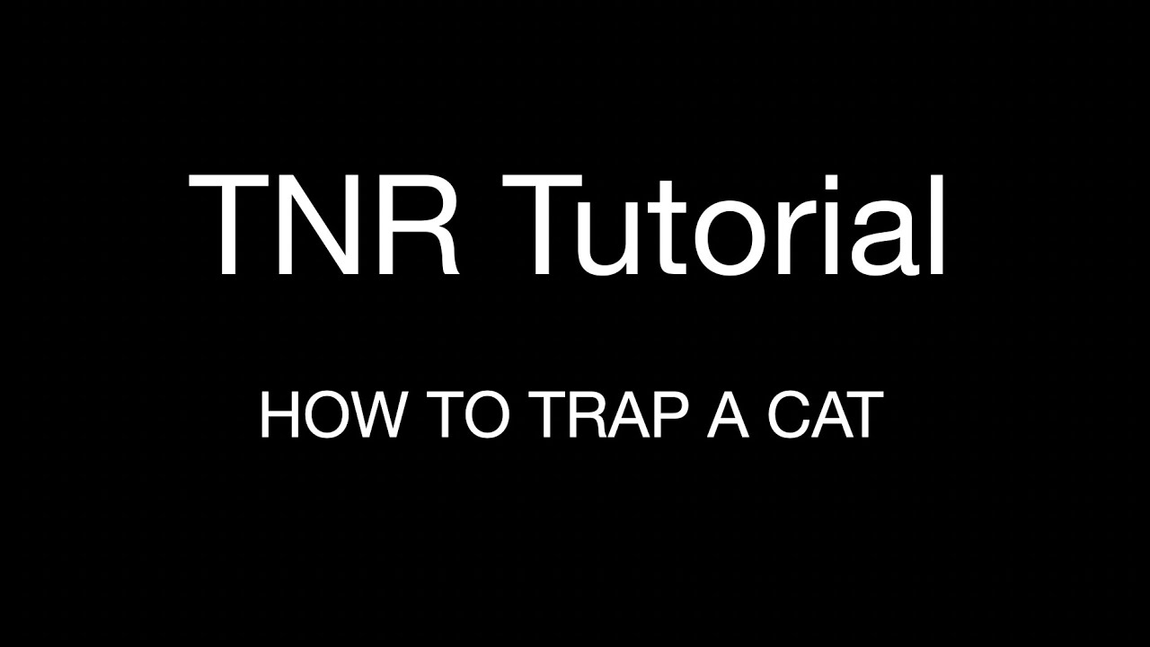 TNR Tutorial - YouTube