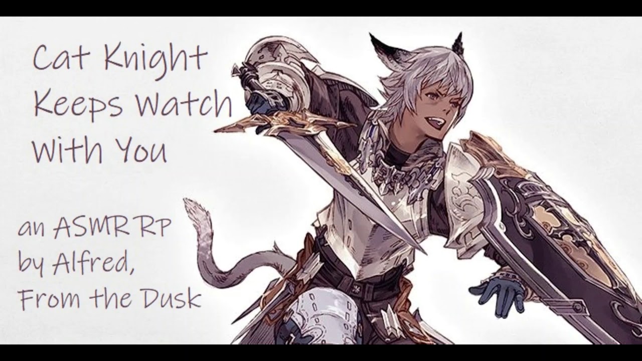 Catboy Knight Keeps Watch With You - YouTube