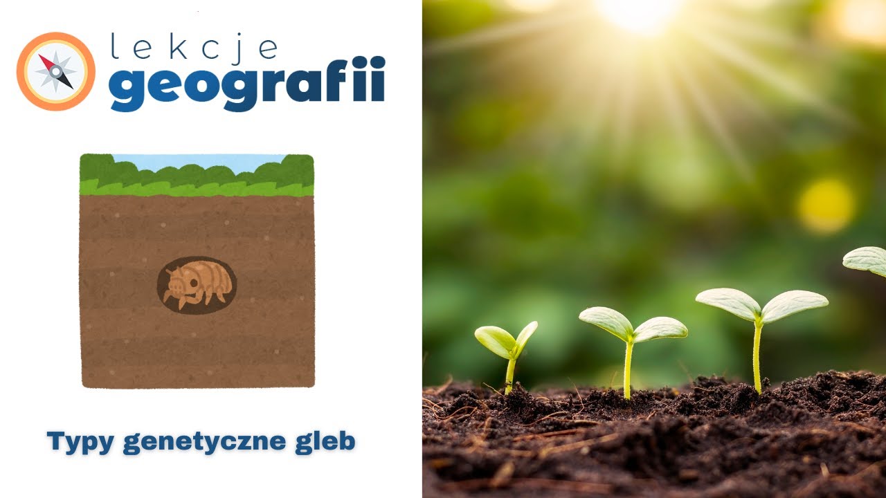 7.2 Typy genetyczne gleb - YouTube