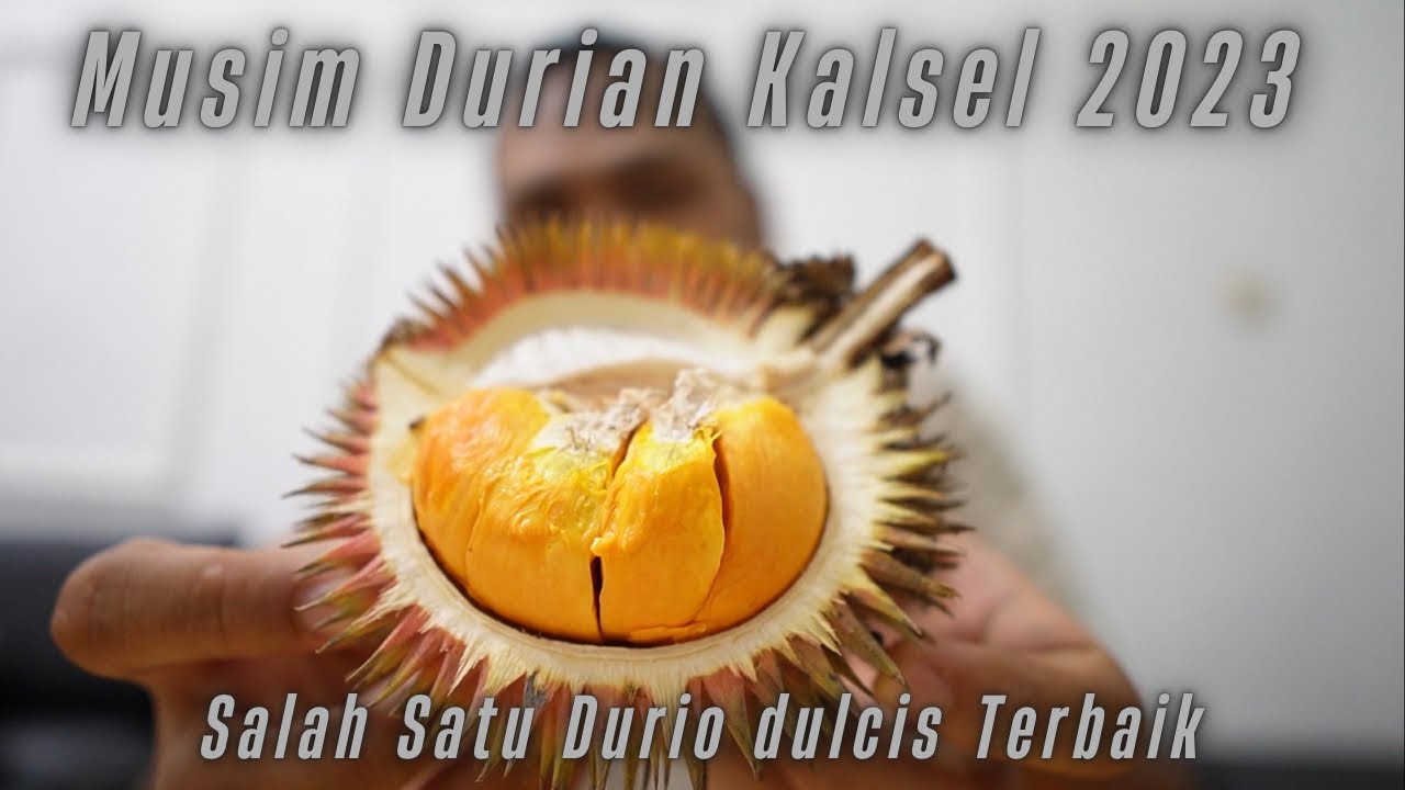 Surprise & Terbaik.. Layung Mini Isi Merah - YouTube