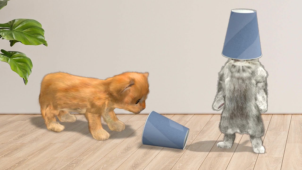 Two funny cats - YouTube