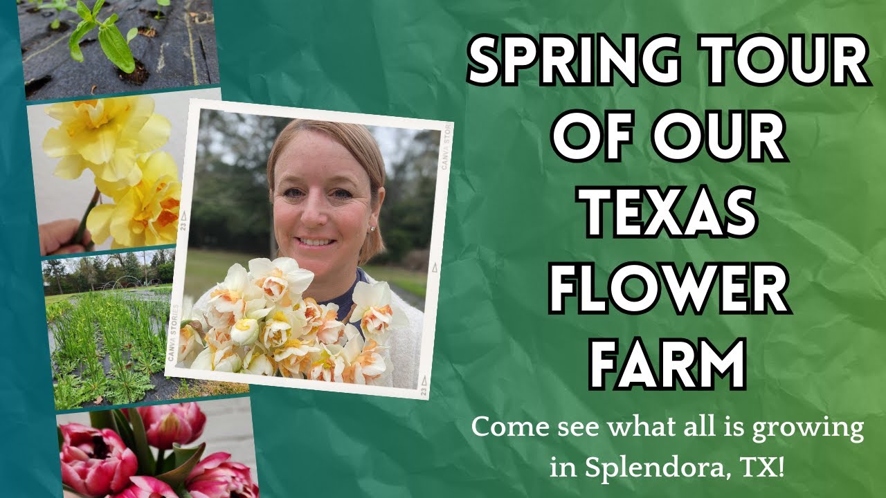 Spring Tour at our Texas Flower Farm: Come see what all is growing in ...