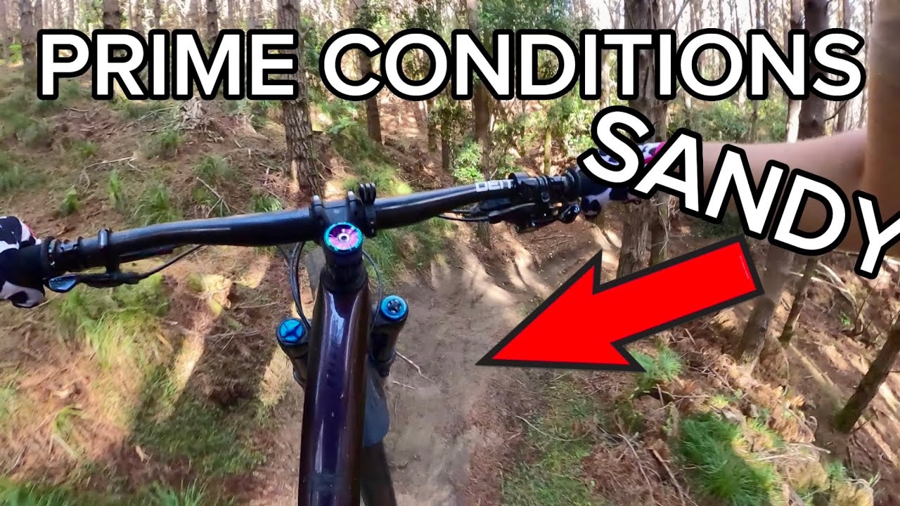 These SANDY TRAILS are SO FUN // Woodhill - YouTube