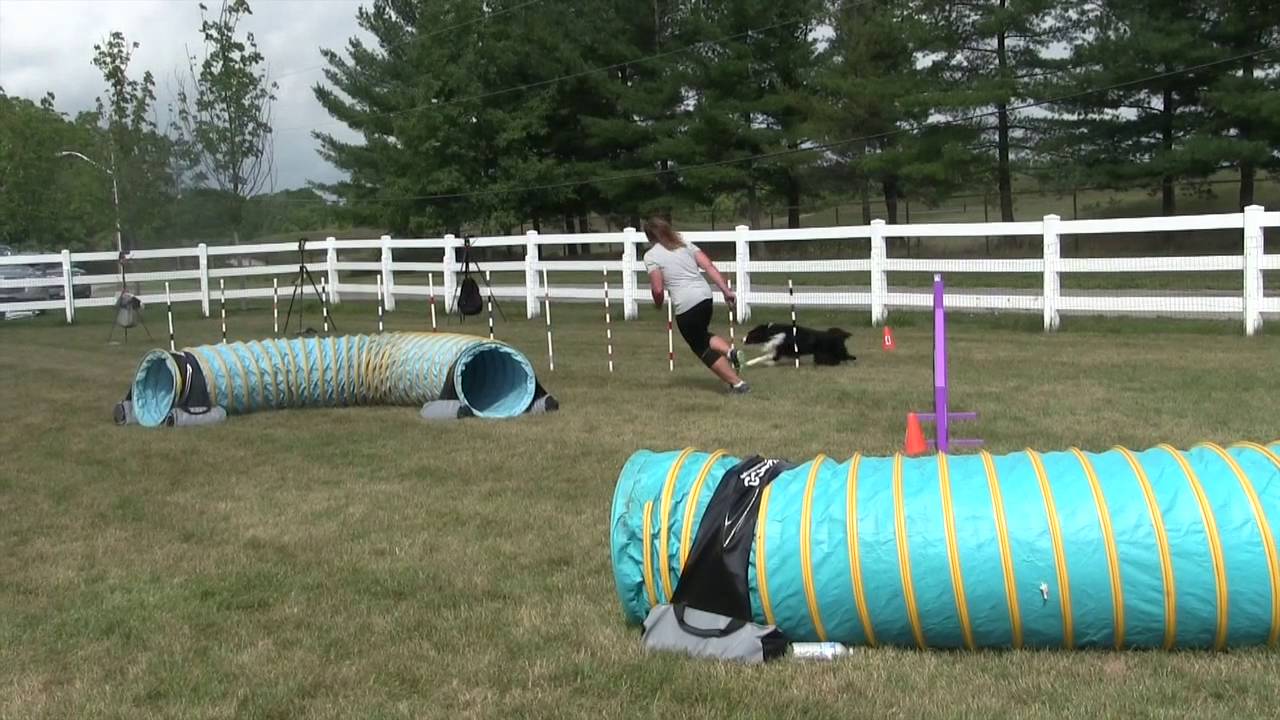Say Yes Summer Camp - August 2016 - YouTube