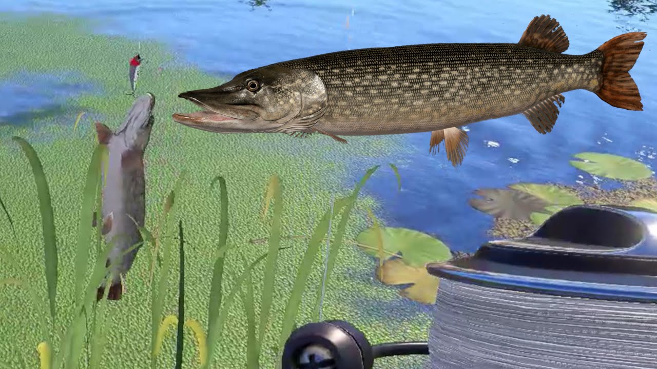 Old Burg Pike Szczupak | RF4 SPOT#192 - YouTube