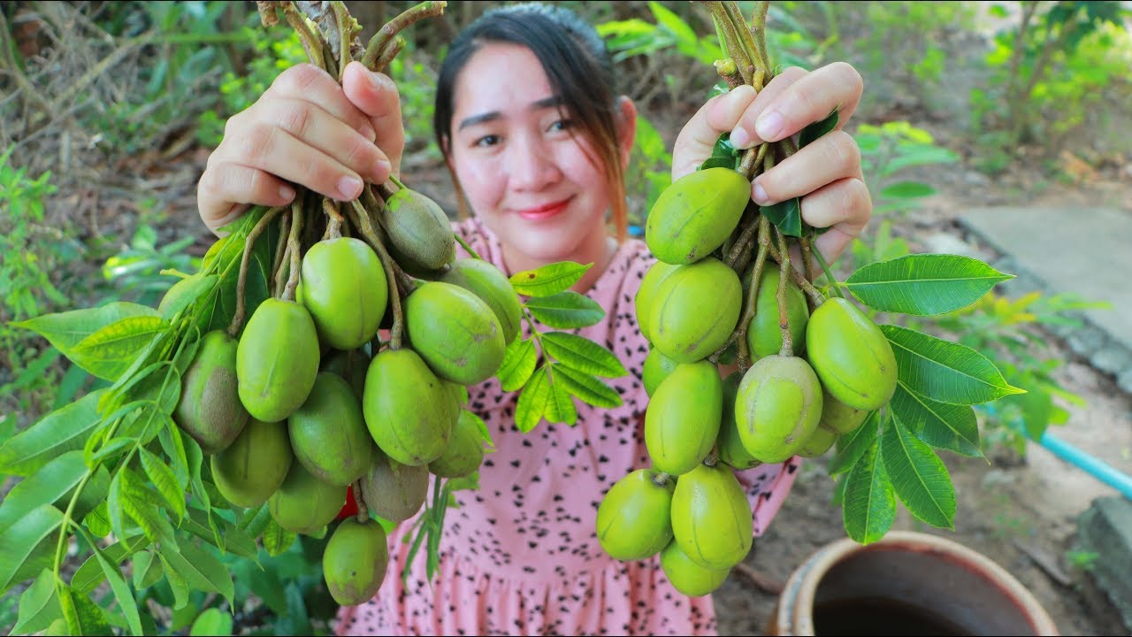 Yummy June Plum Fruit Eating Tiny Shrimp Past Sauce - Picking June Plum ...