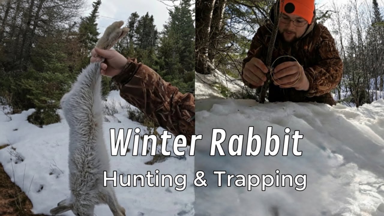 Rabbit Snaring & Hunting Small Game! - ( The Start Of The Winter ...