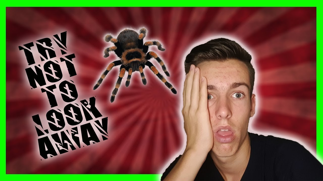 TRY NOT TO LOOK AWAY CHALLENGE! - YouTube