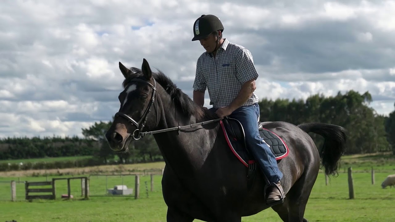 Excel Equine Final Video 2 - YouTube