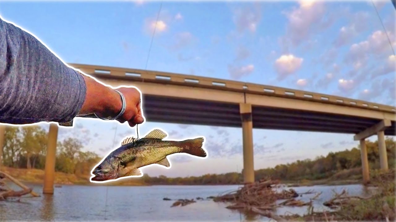 48lb. Flathead Catfish (Raw Fight) - YouTube