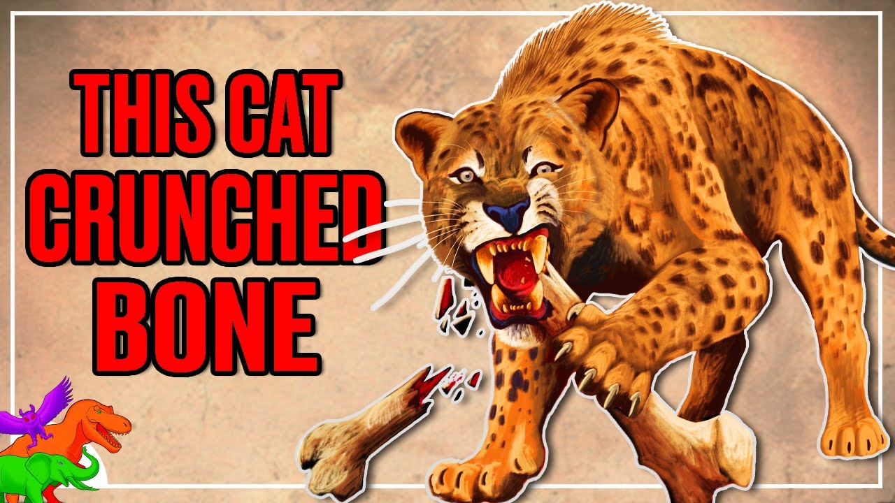 Bone-Crunching Cat Made Mulch Of Our Earliest Ancestors - YouTube
