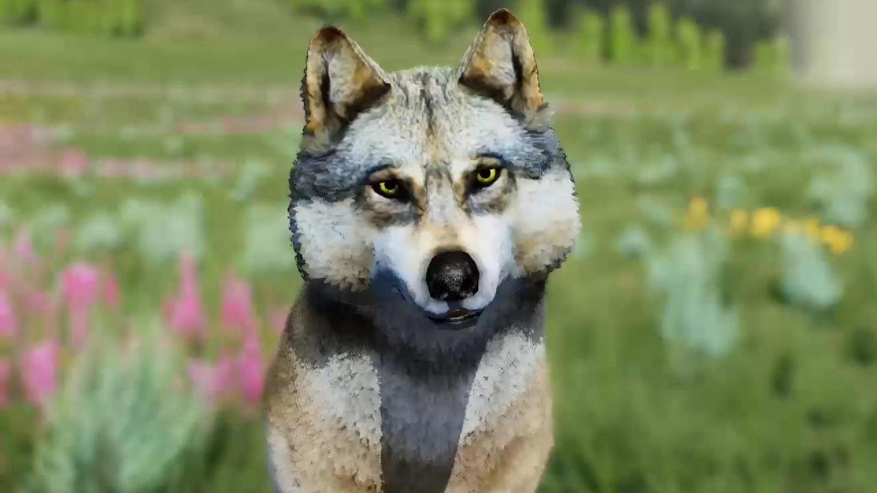 Apple's 3rd litter pup reveal | Mini Pack | WolfQuest Anniversary ...