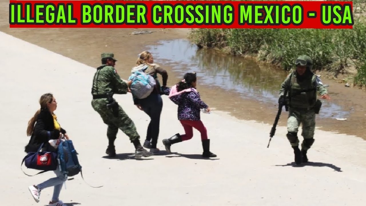 America Donkey 🇺🇲 | Usa Donkey Border Crossin 2023 - YouTube
