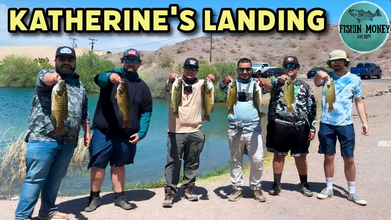 We Found the BEST Shore Fishing Spot at Lake Mohave – Katherine’s ...