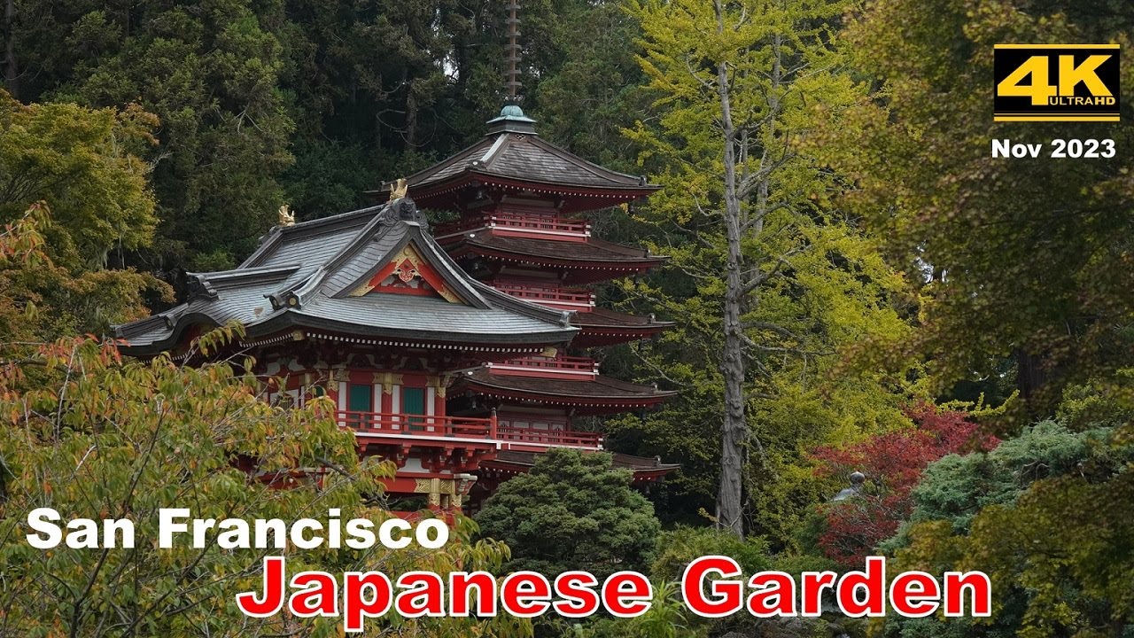 Japanese Garden in San Francisco #travel #4k #sanfrancisco # ...