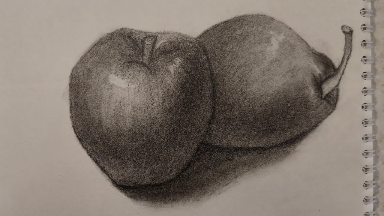 How to draw simple fruits | drawing fruits with pencil for beginners ...