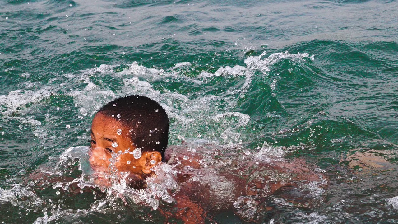 Life in water - YouTube