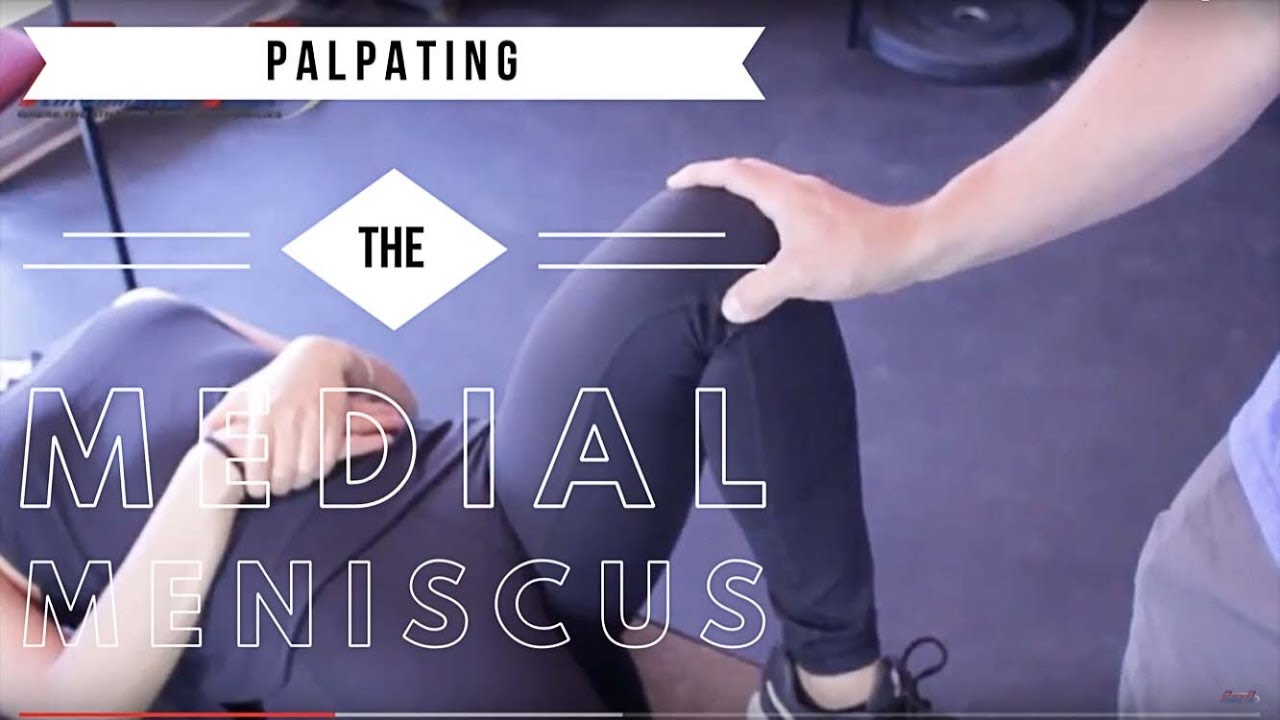 E39: Medial Meniscus Knee Palpation - YouTube