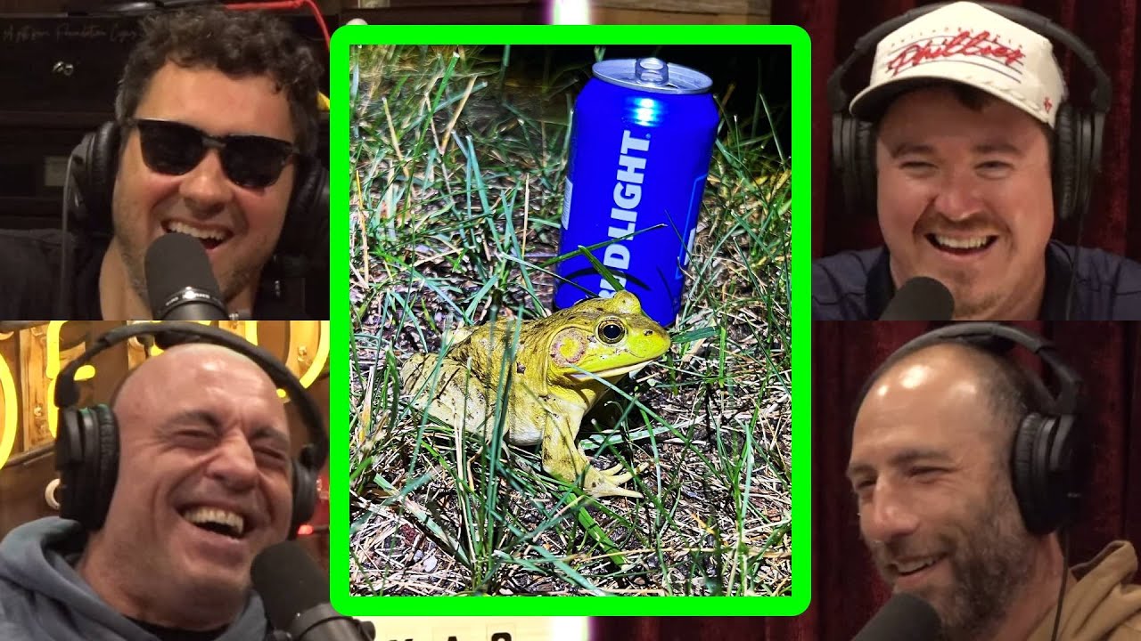 Shane Gillis Can Save Bud Light with Joe Rogan! - YouTube