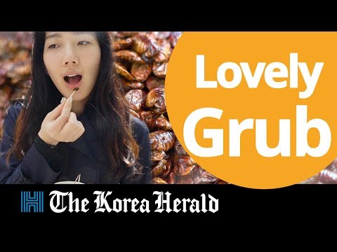 Korea's decades-long love for insect