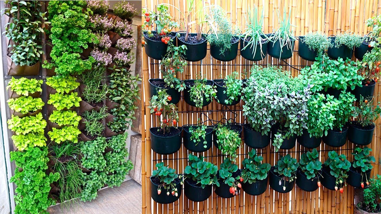 COMO FAZER UMA HORTA SUSPENSA EM CASA (EM 1 MINUTO PASSO A PASSO) - YouTube