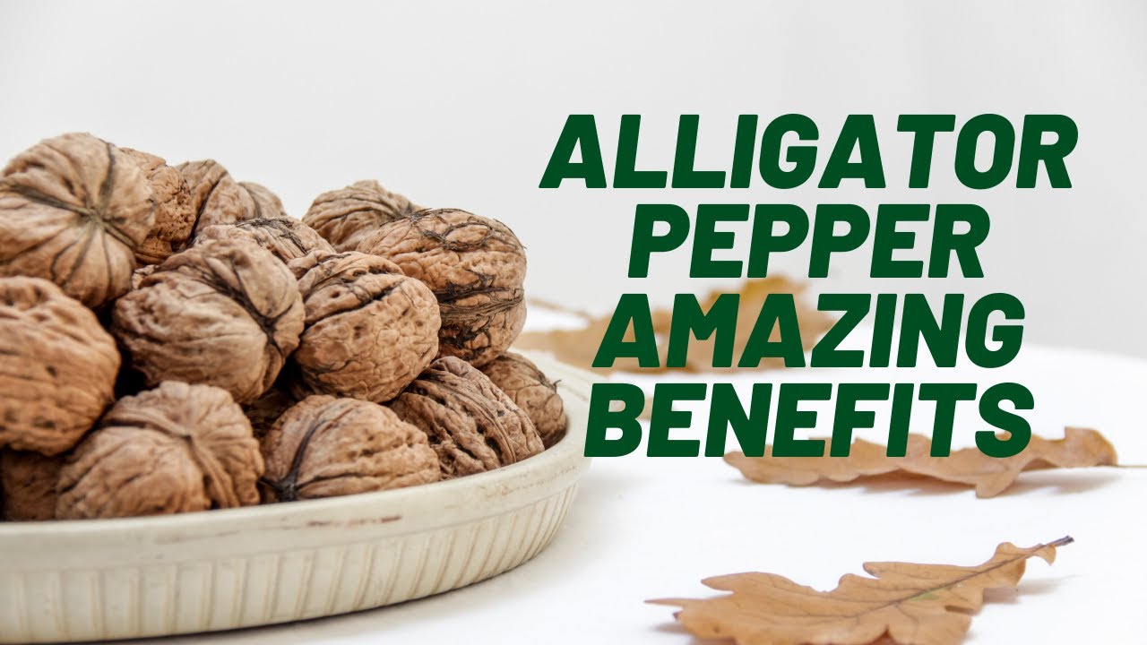 ALLIGATOR PEPPER AMAZING BENEFITS - HERU