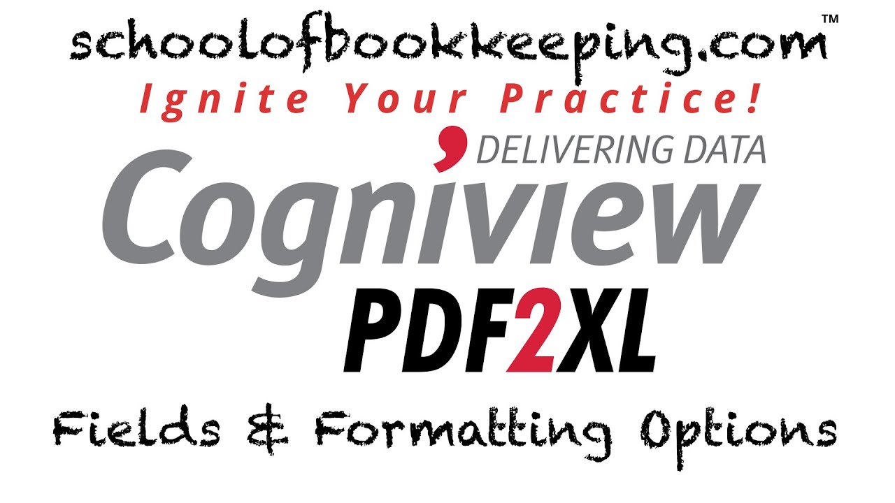 Cogniview - PDF2XL - Lesson 4 - Fields & Formatting Options - YouTube
