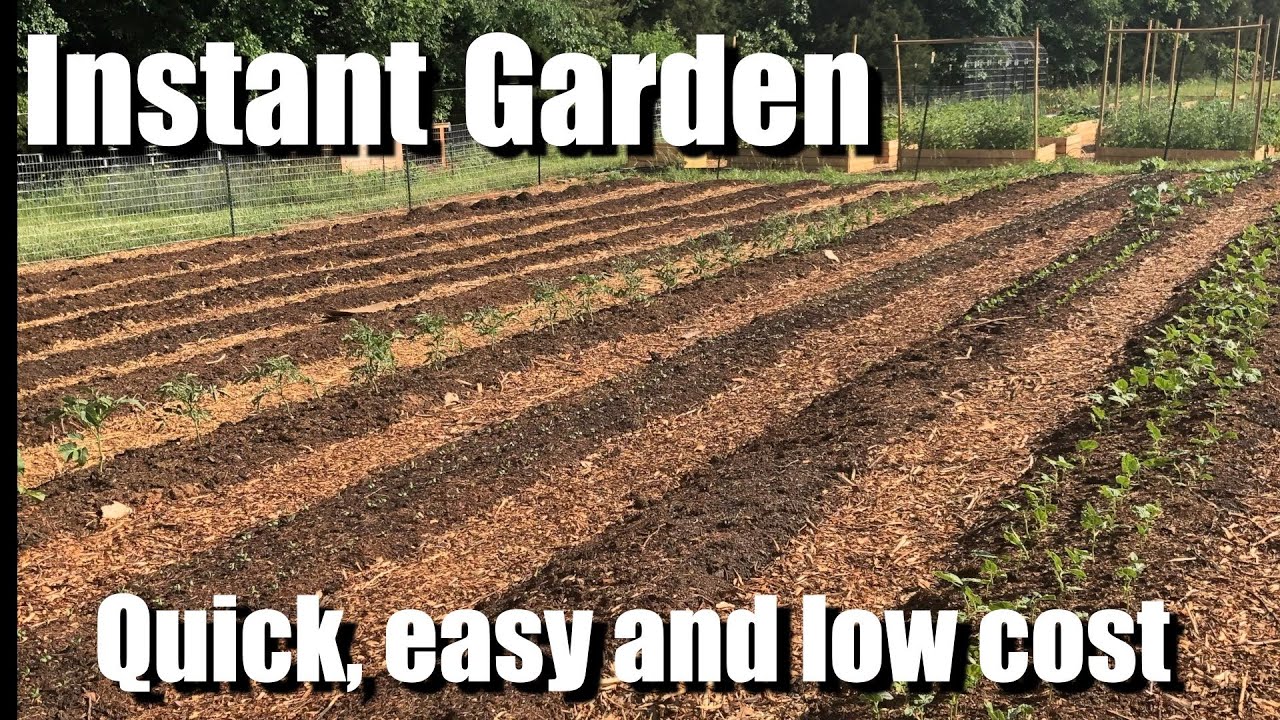 INSTANT GARDEN from scratch // LOW or NO COST! The wildly successful ...
