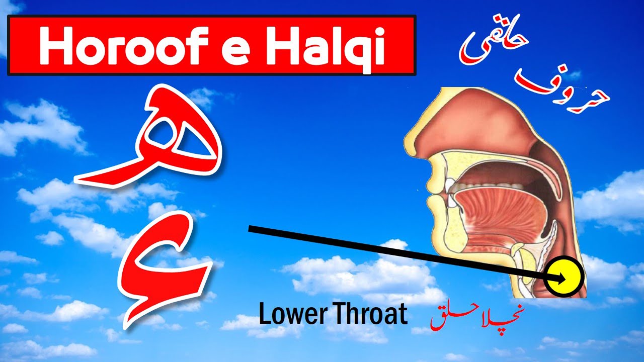 Huroof e Halqi | Learn Quran with Tajweed | Tajweed rules in Urdu ...