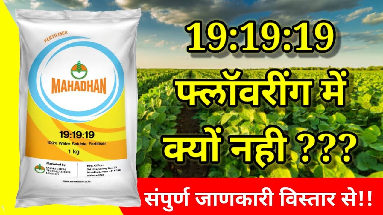 19-19-19-iffco-19-19-19-19-19-19-price-youtube