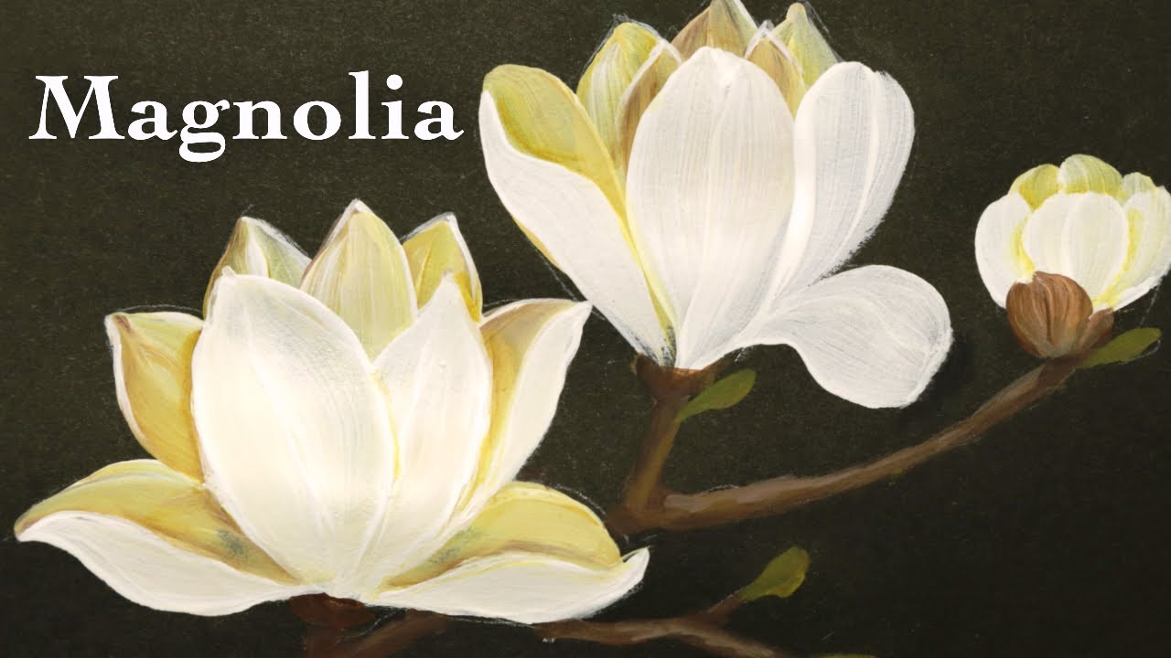 White magnolia flower painting | tutorial ( in 4 minutes ) - YouTube