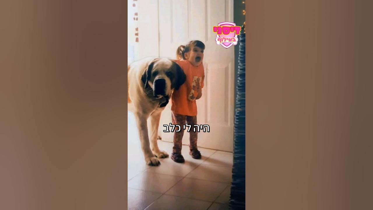 דיסני באילוף 🐶 פרק הקדמה Youtube