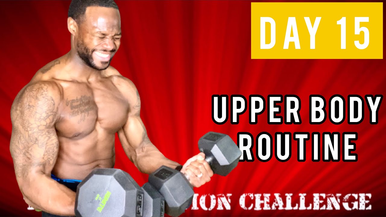 UPPER BODY DUMBBELL WORKOUT at HOME for MEN & WOMEN / BUILD MUSCLE - 4 ...