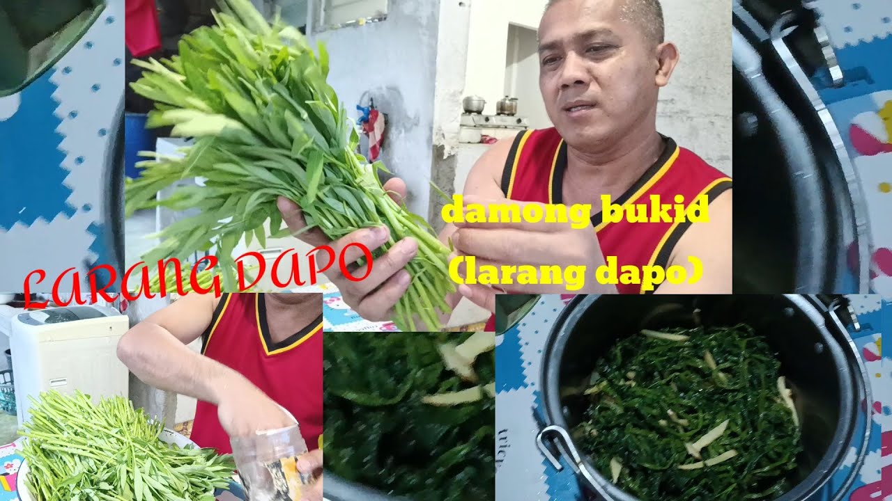 @LARANG DAPO (damong bukid) - YouTube
