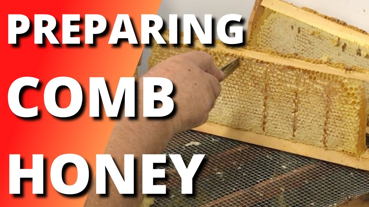 Preparing comb honey - YouTube
