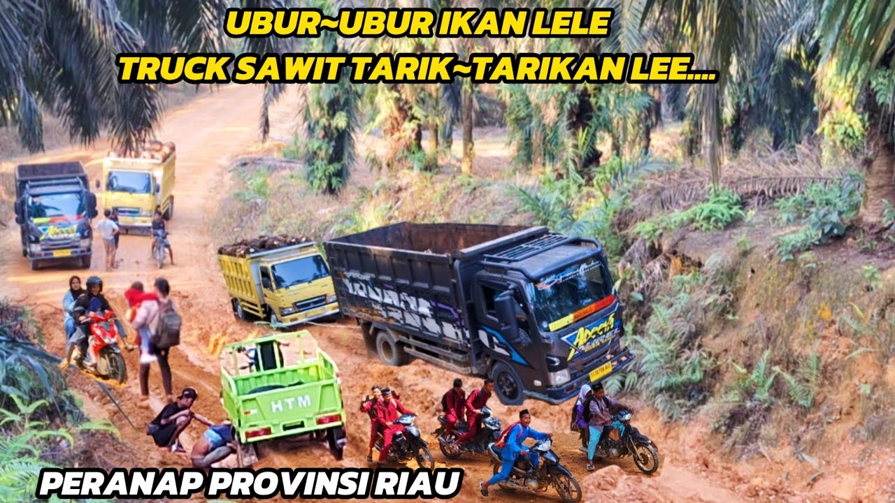 Peranap Terkini ,Peranap Terbaru, Peranap Baru saja Kepulauan Riau ...