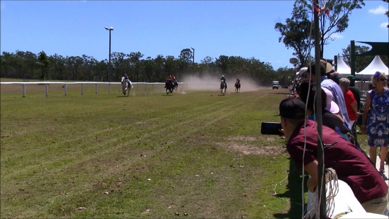 Torbanlea Picnic Races 2016 Ladies 250m Stock Horse Sprint - YouTube