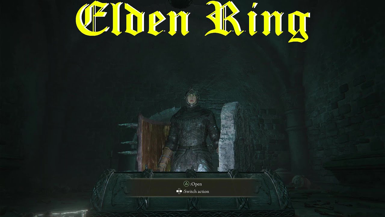 Elden Ring Greatshield Fingerprint and Palisade spiked PVP Build ...