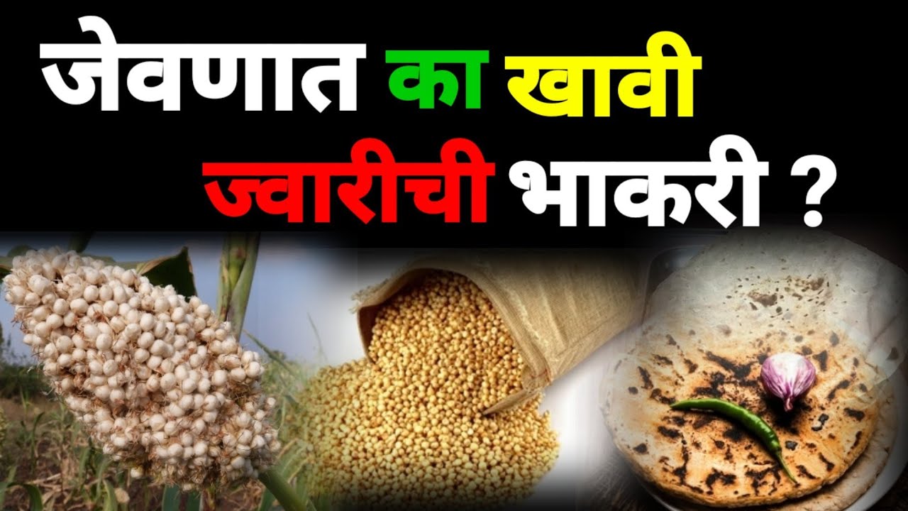 जेवणात ज्वारीची भाकरी का खावी? jowar bhakari benefits #marathi # ...