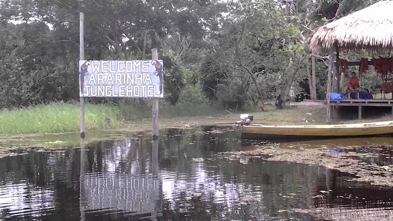 Amazon GERO Tours Base Ararinha Jungle Lodge - YouTube