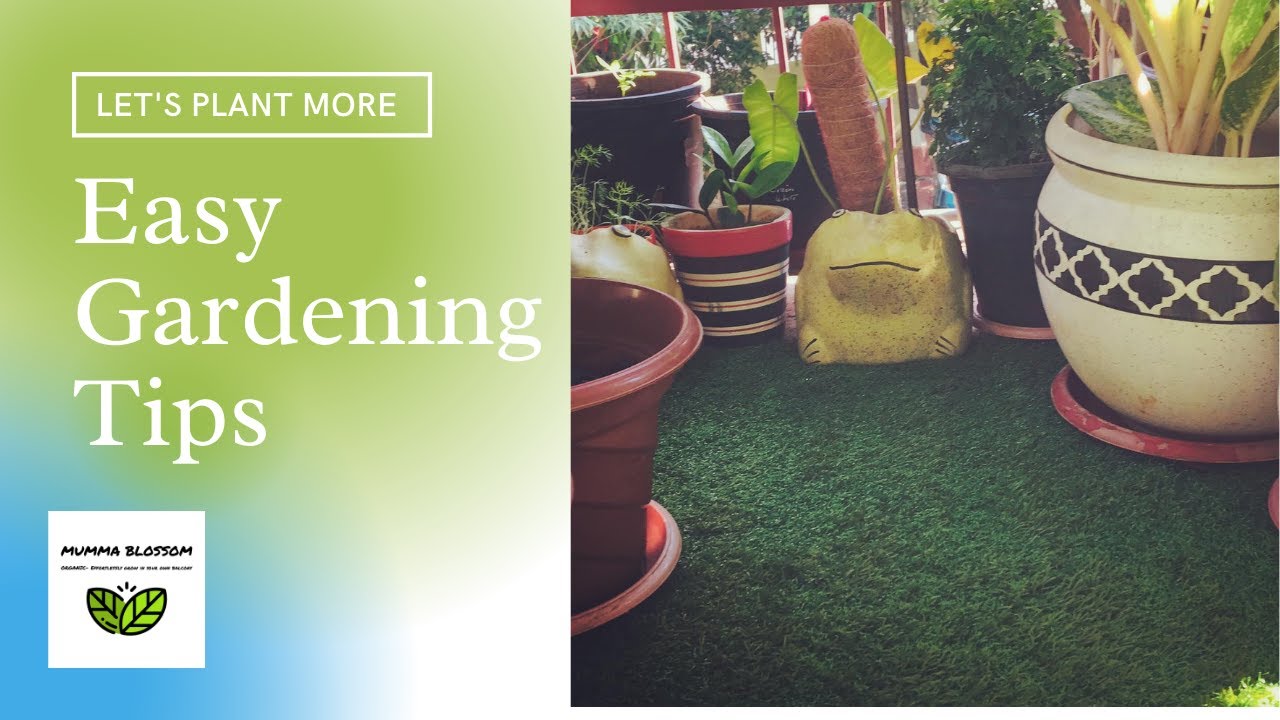 57...Easy Gardening Hacks For Beginners || Plants Growing Tips | Plant ...