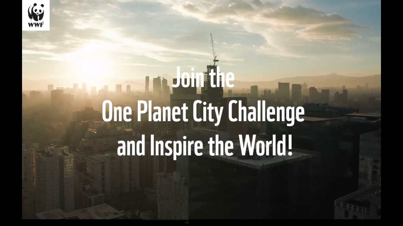 The One Planet City Challenge 2023-24 - YouTube