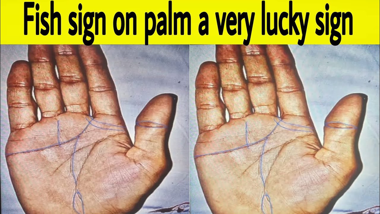 Fish Sign On Palm A Very Lucky Sign Raja Uk 🇬🇧 Palmistrty - YouTube