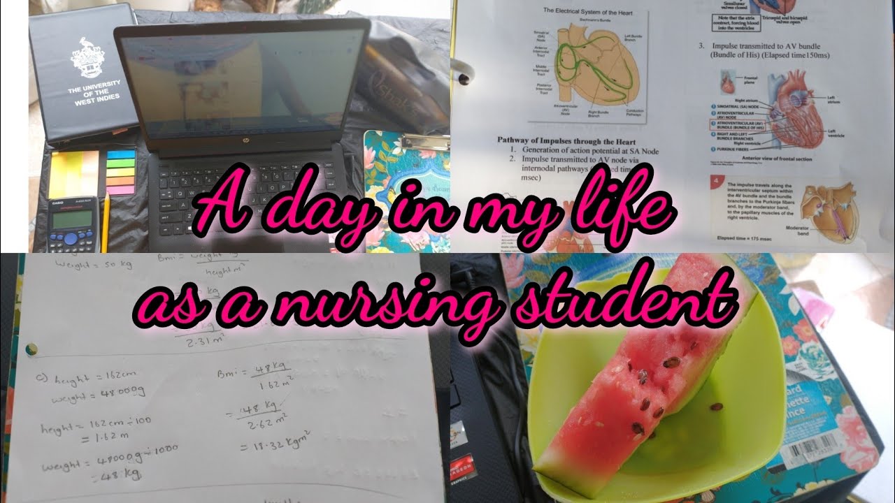 A Day In A Life Of Nursing Student 2022 | Nursing Student Life |Second ...