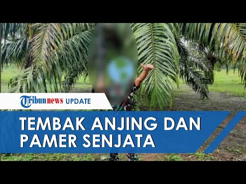 Beredar Foto Oknum TNI Pamer Senjata dan Tembak Anjing, Kini Berujung Ditindak dan Diperiksa