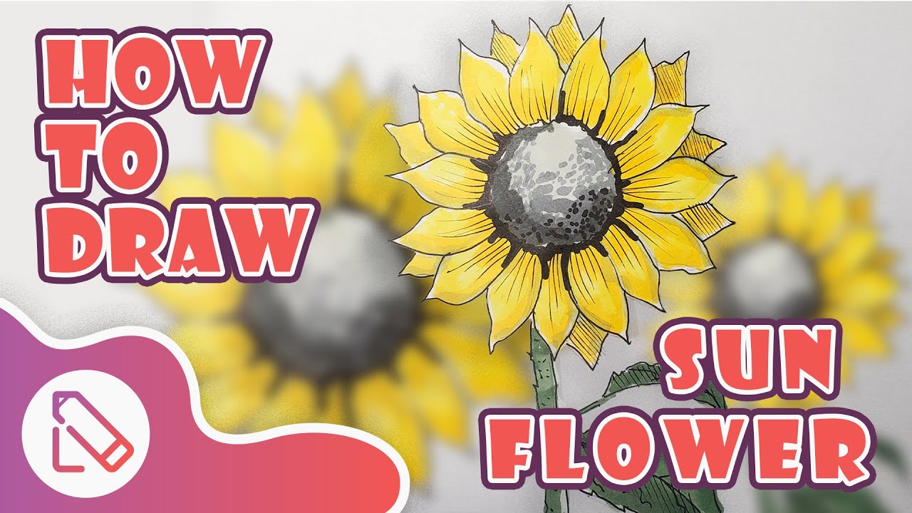 How To Draw Sunflower Easy Step By Step | Realistic Flower with markers ...